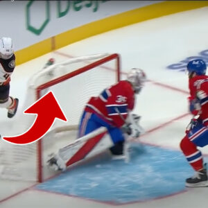 Hockey Five Hole Explained - Gaimday